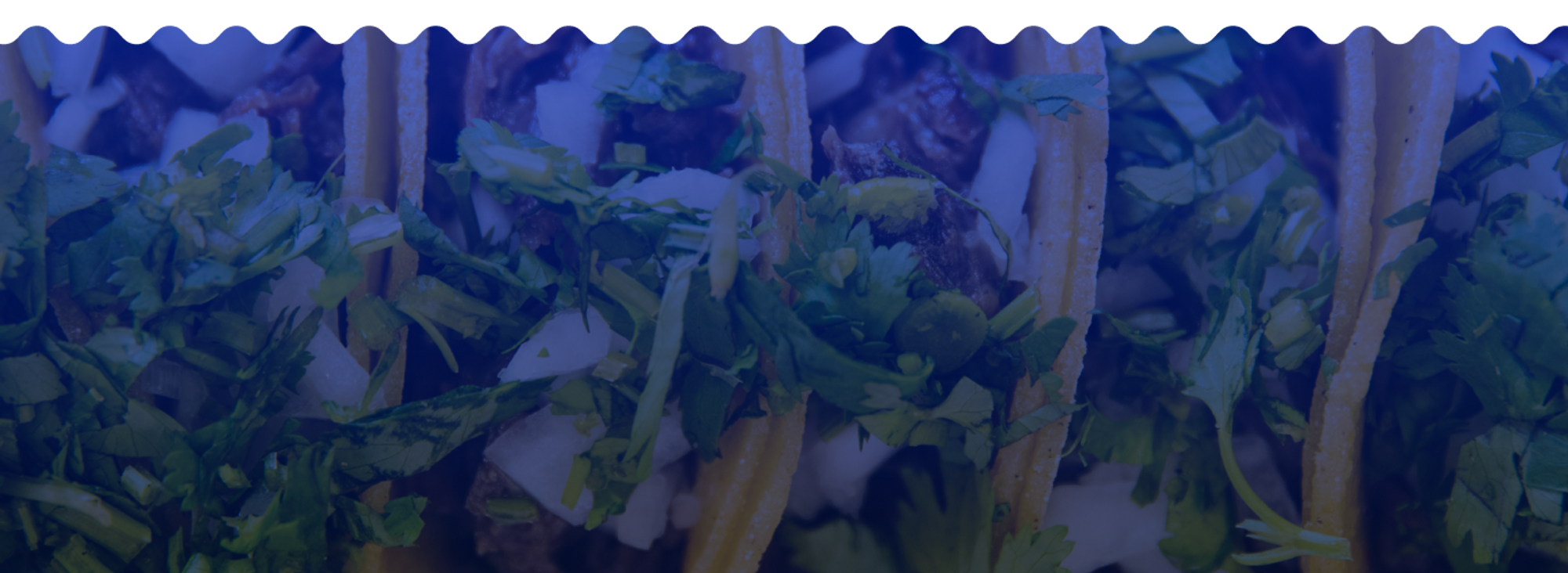 Home | Taqueria BlueTortilla