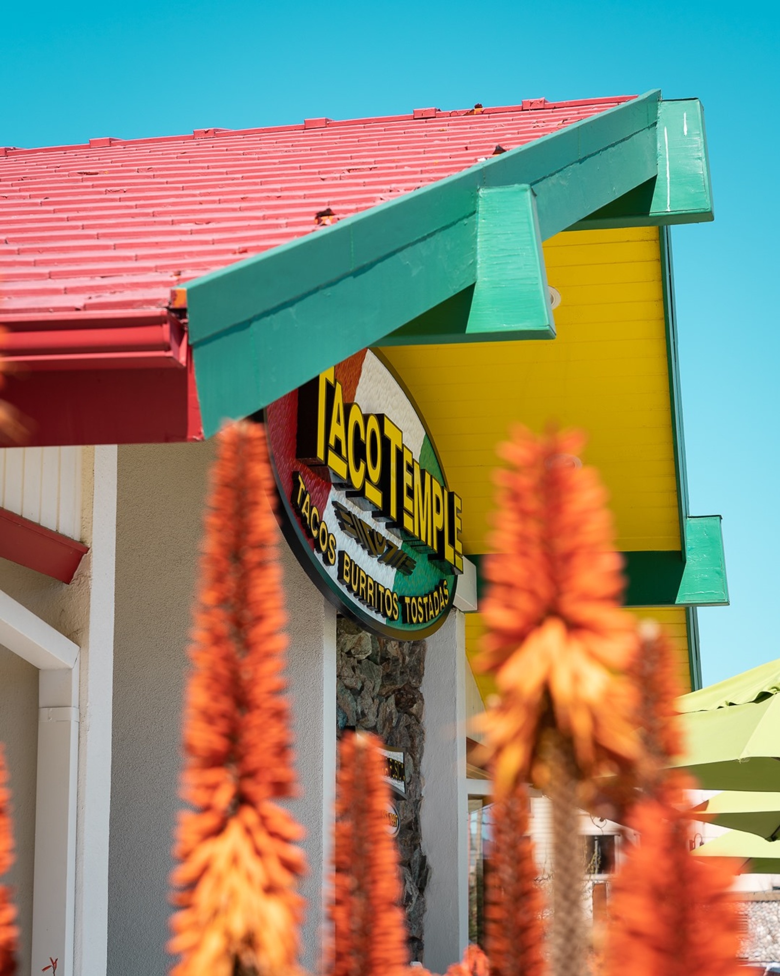 Taco Temple | California Fusion At Its Freshest | Gallery