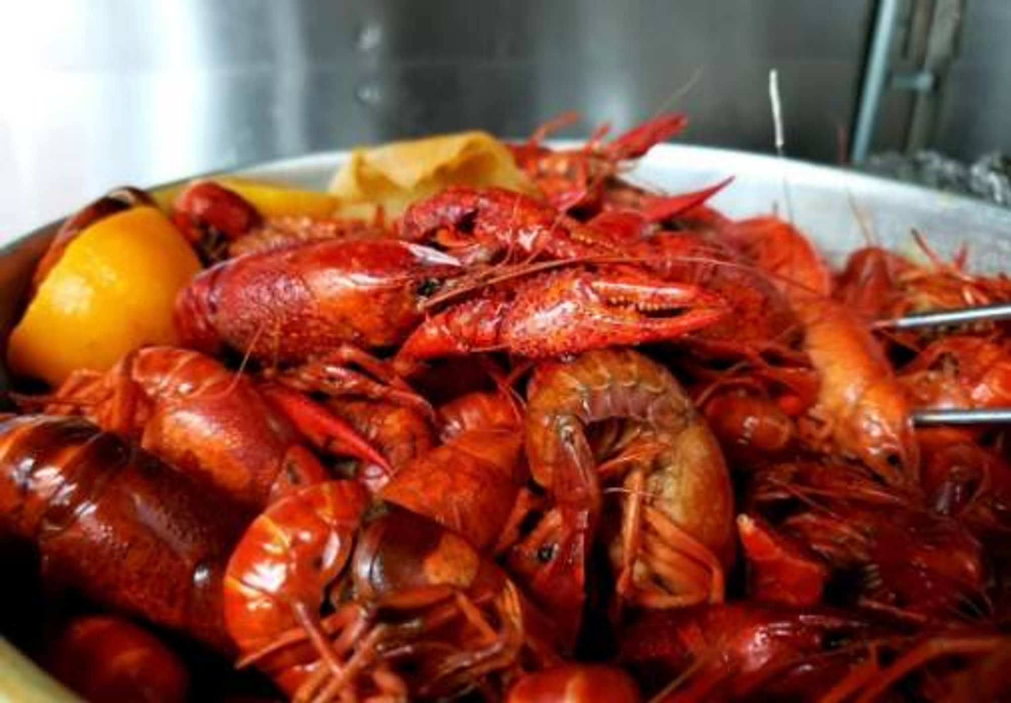 Delicious Cajun-Flavored Dishes | USA Cajun Station