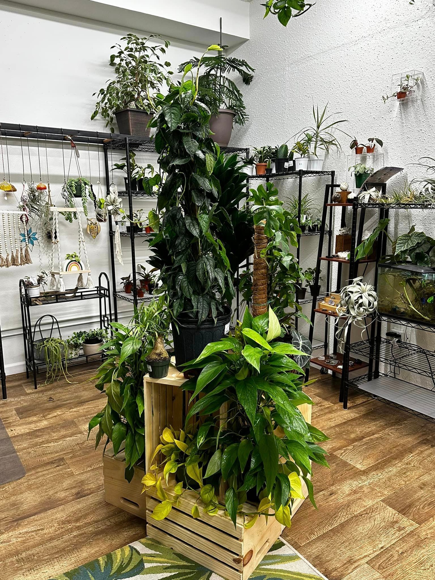 Take A Look | The Morton Plant Shop