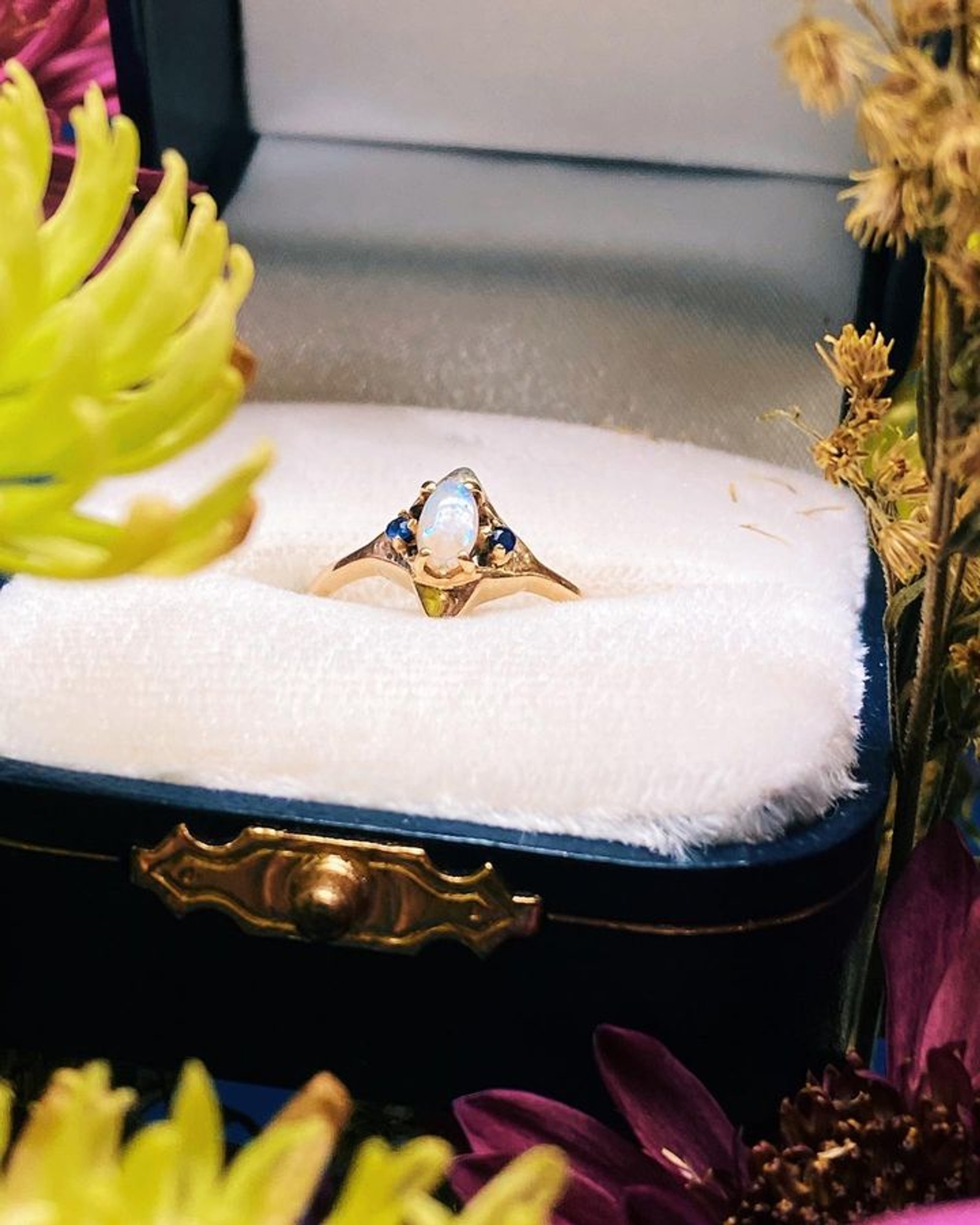 Home | The Velvet Case