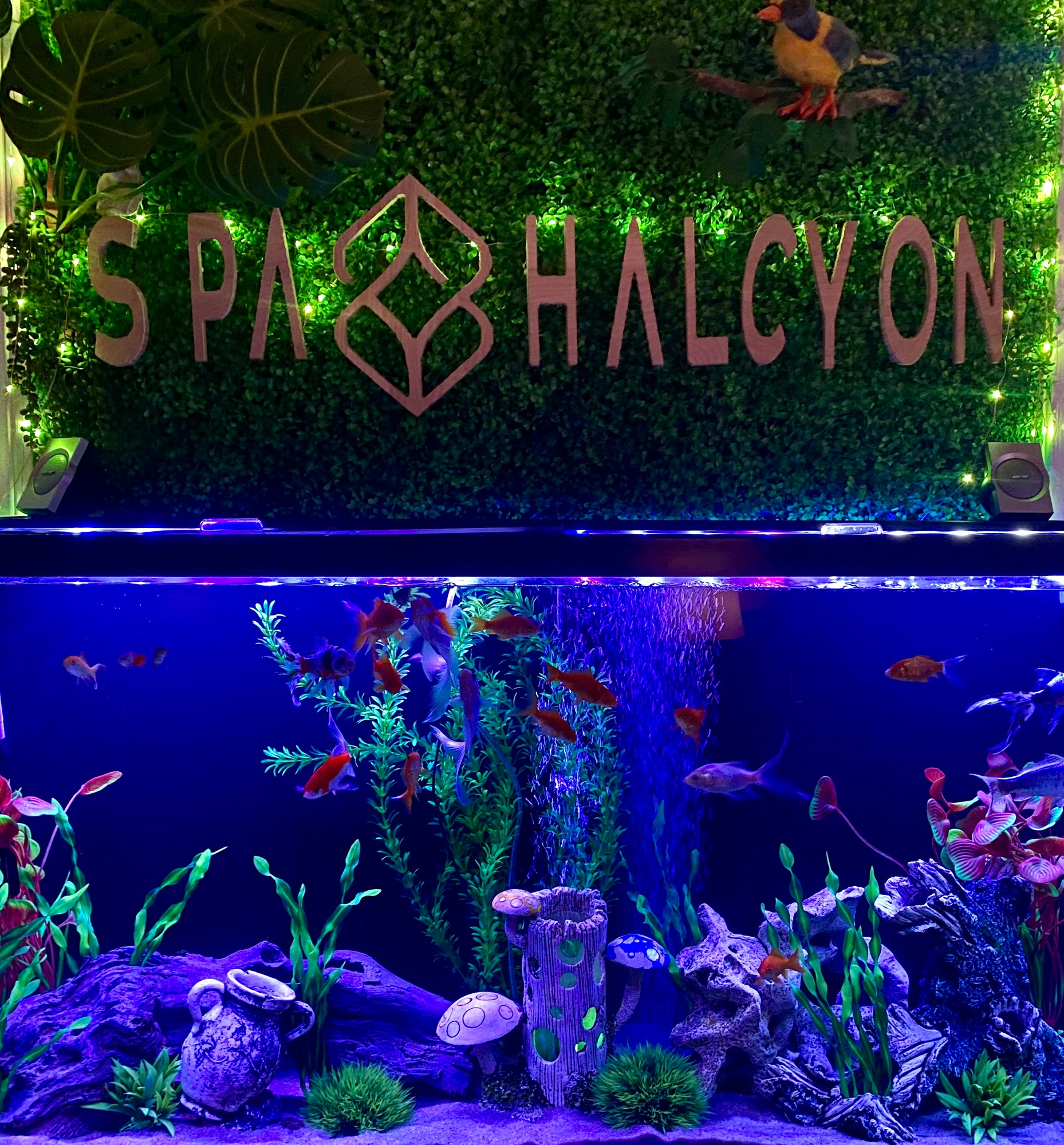 Spa Halcyon offers exceptional bodywork for all, women and men included ...