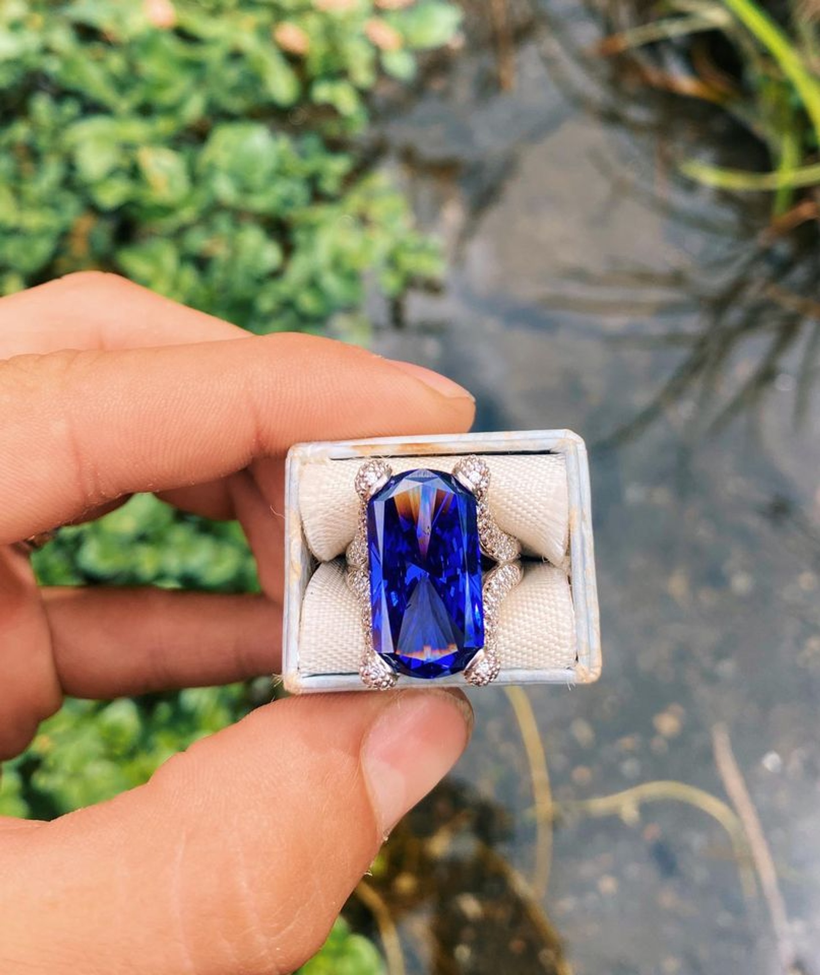 Home | The Velvet Case