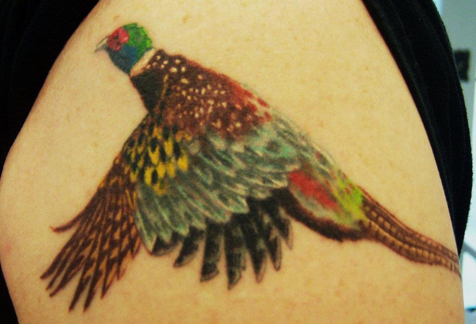 Explosive Ink Tattoo | Gallery