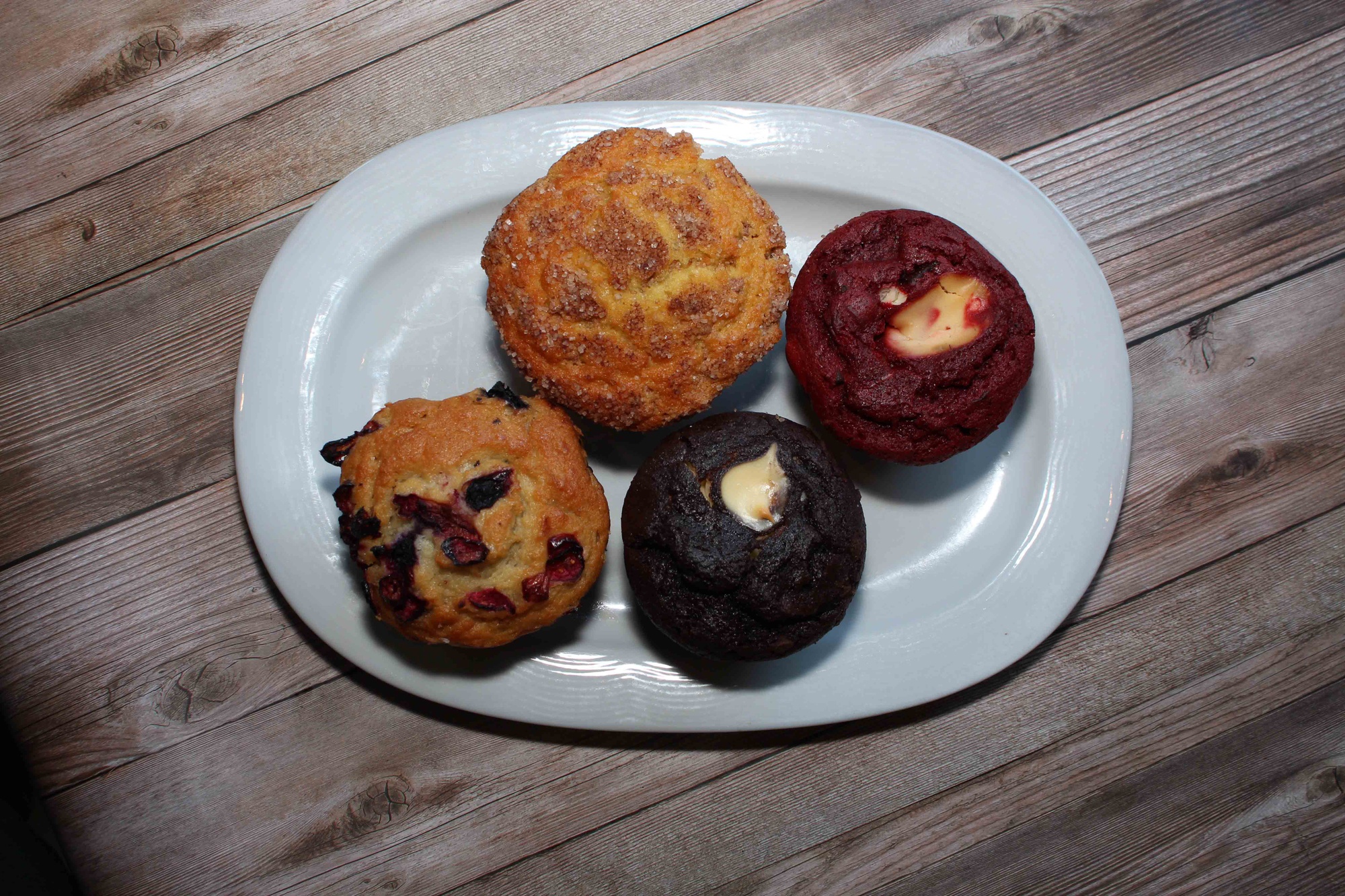 Welcome | Max Bibo's