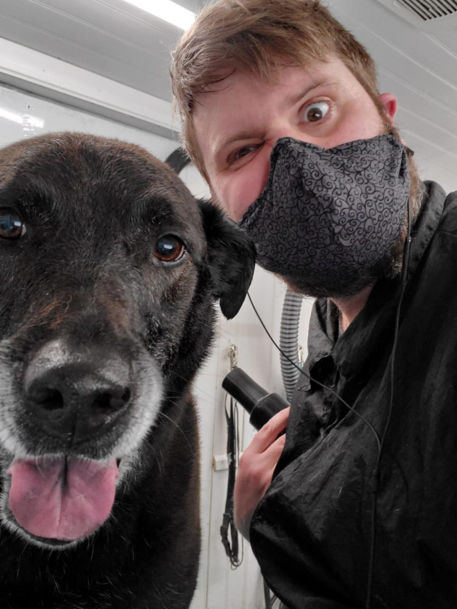 Anything's PawsAble | Anything's PawsAble | Gallery