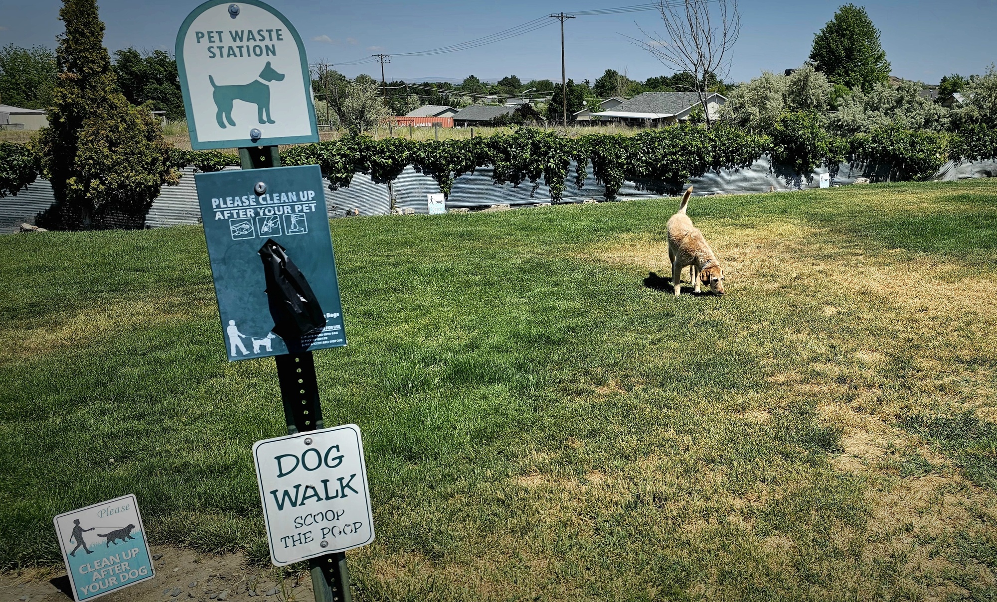 Amenities | Pioneer RV Park